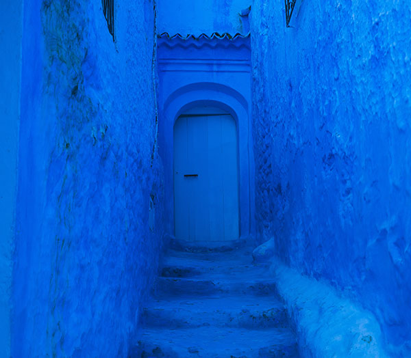 The Bike Venture - Obor Desk